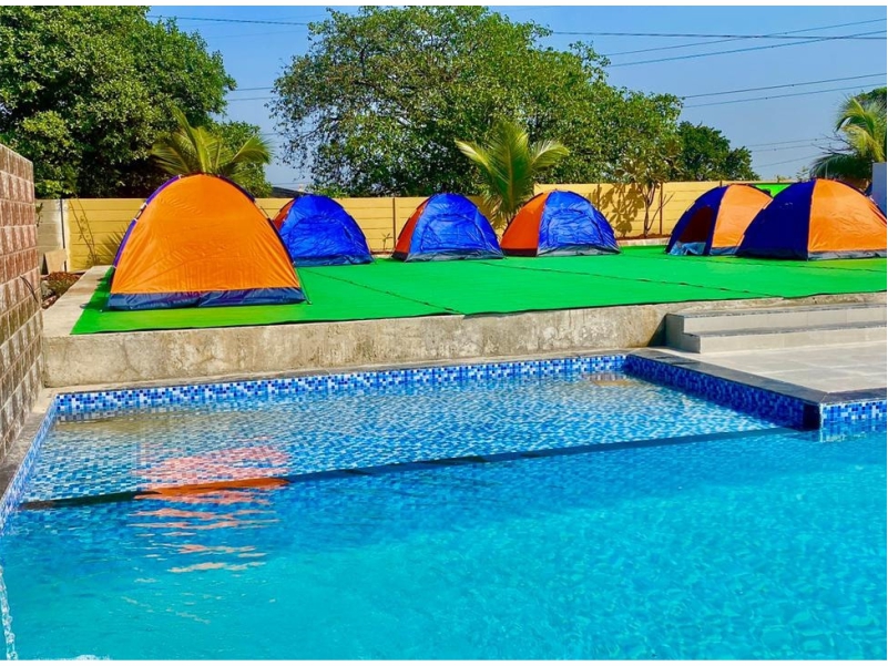 Celebrity Farm | Dream Destination