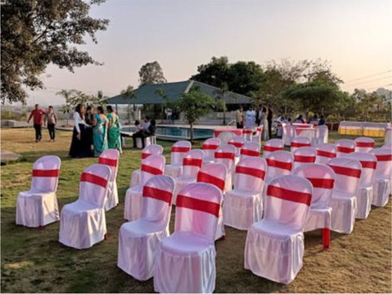 Celebrity Farm | Dream Destination